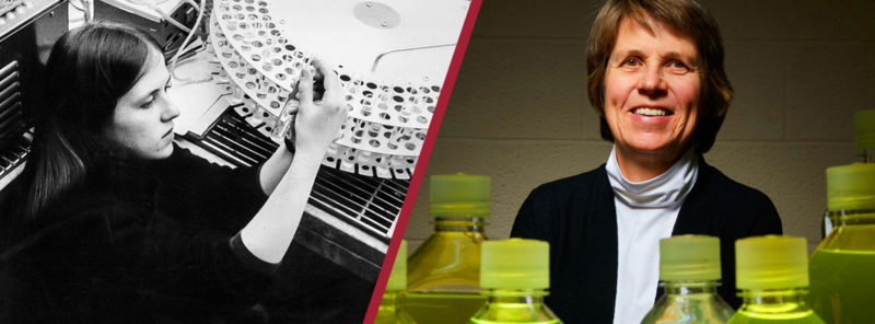 Institute Professor Penny Chisholm Profiled By Science Magazine Mit Cee