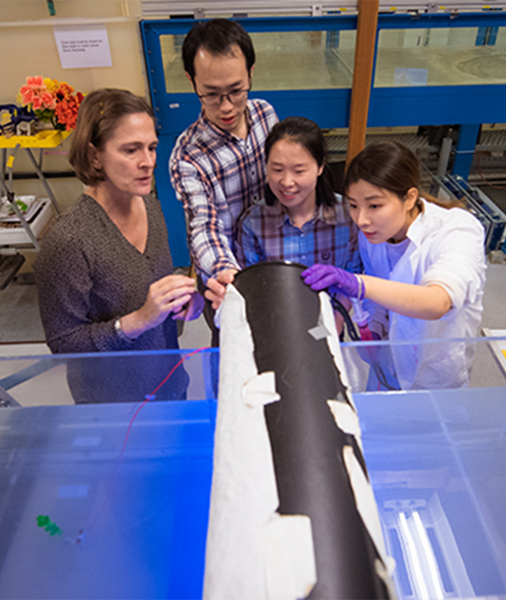 Undergraduate Minors | Civil Engineering | Environmental Engineering