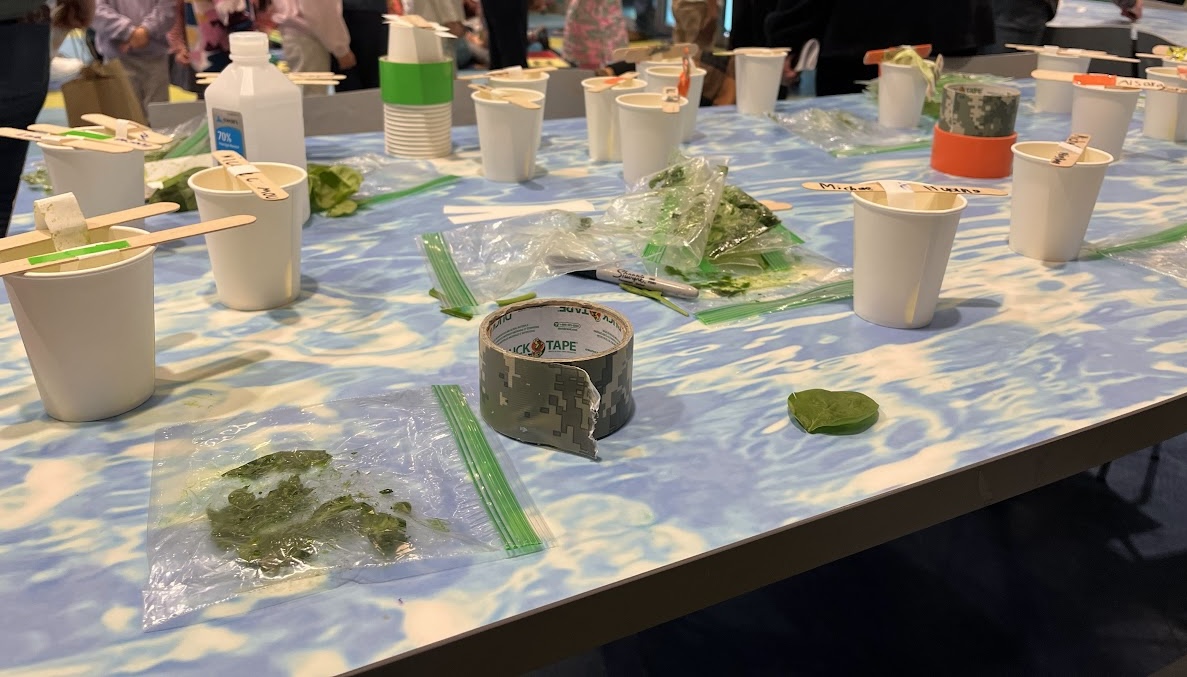 Science Saturday at the Boston Public Library - cee.mit.edu